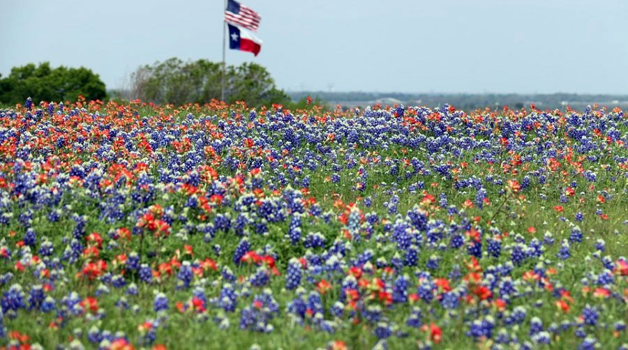 Graham, TX Real Estate | Shana Weatherbee Wolfe