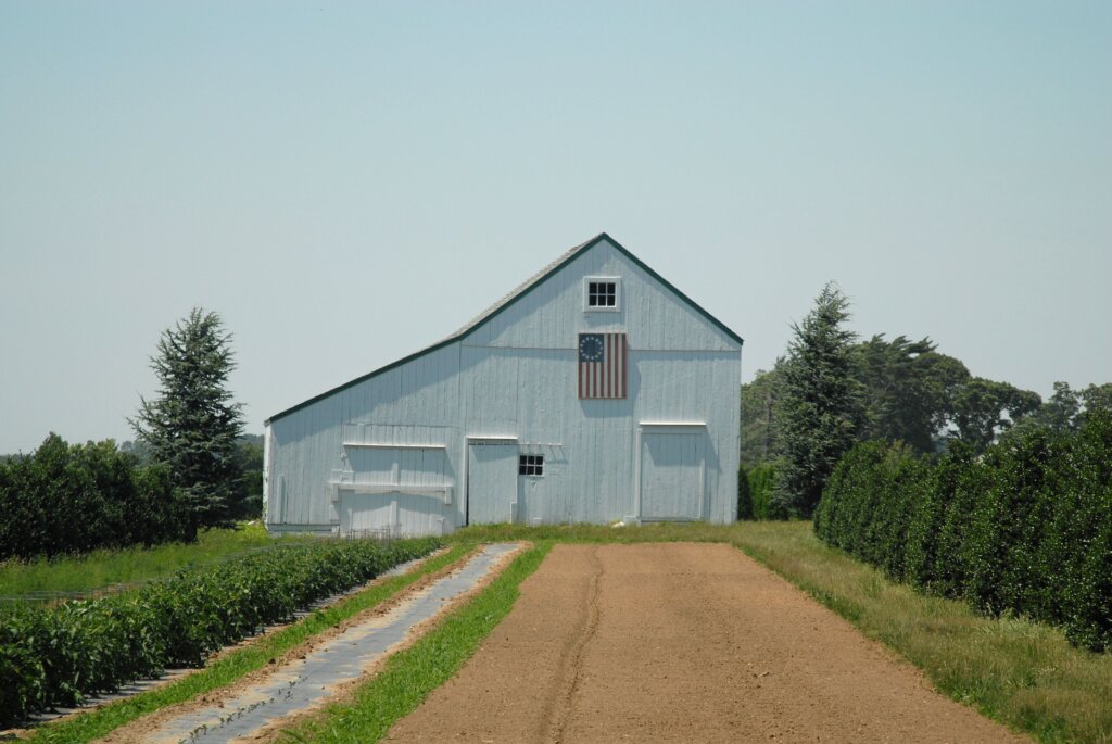 Laurel, New York | Mary Binder
