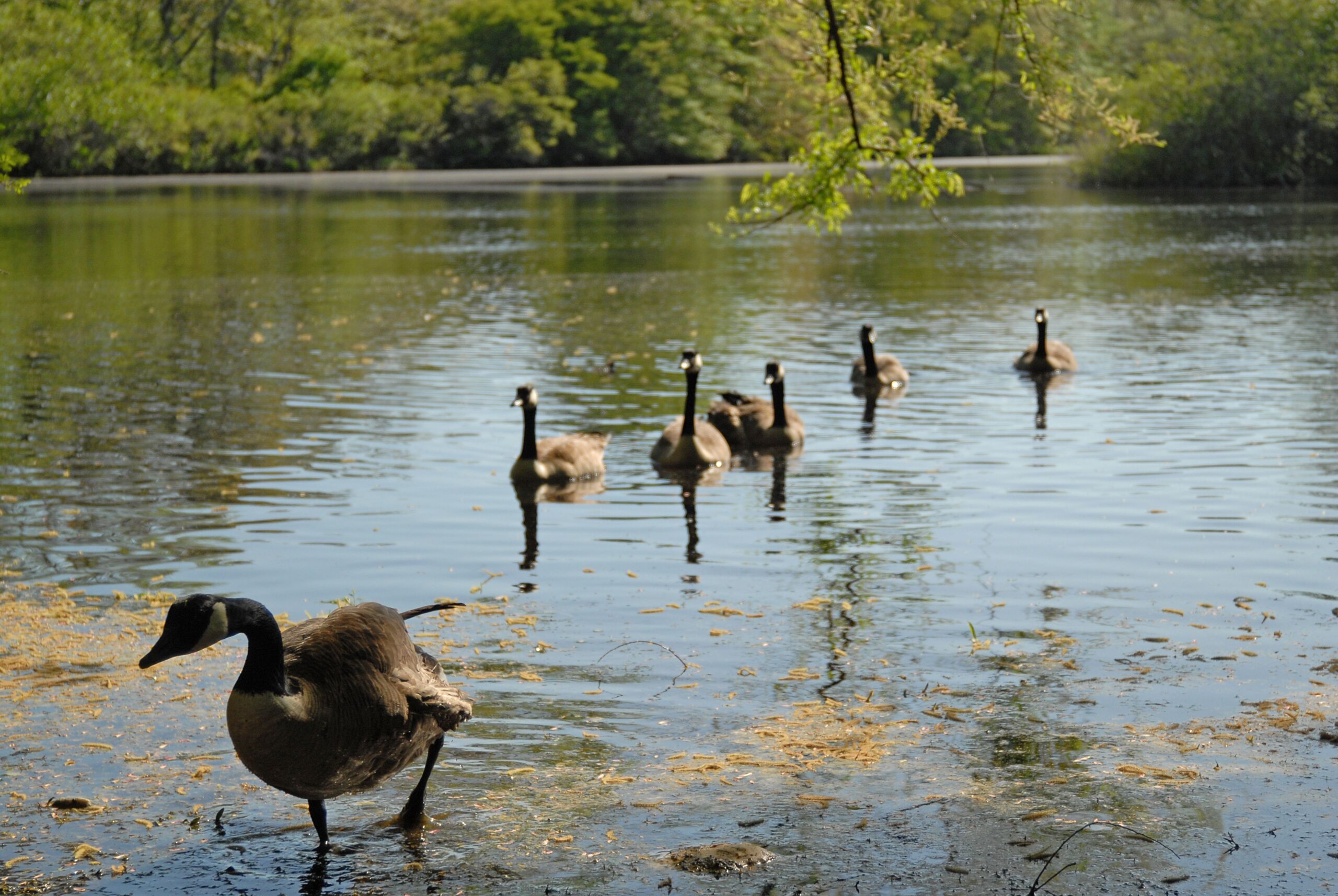 Quogue, New York | Mary Binder
