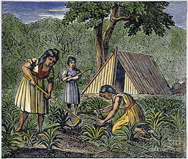 History of Crop Farming In a Nutshell | Rick Meyer