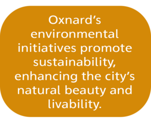 Oxnard Real Estate Agent | Blue Sky Realty & Property Management